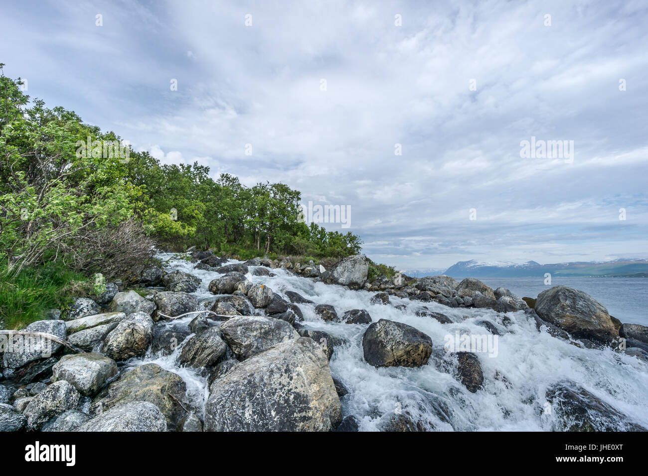 Water grass scenic spot hi-res stock photography and images - Alamy