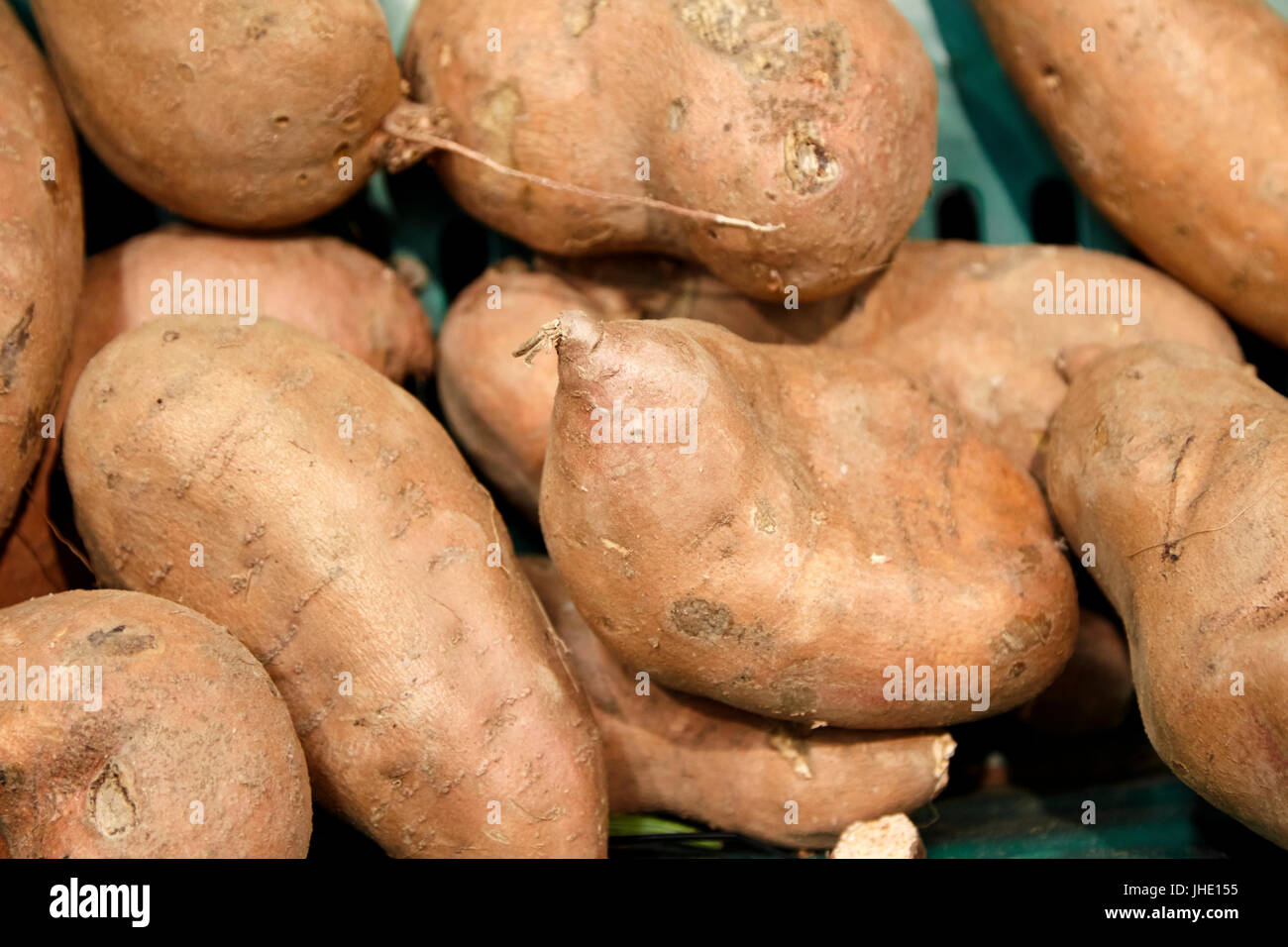 fresh sweet potatoes Stock Photo - Alamy