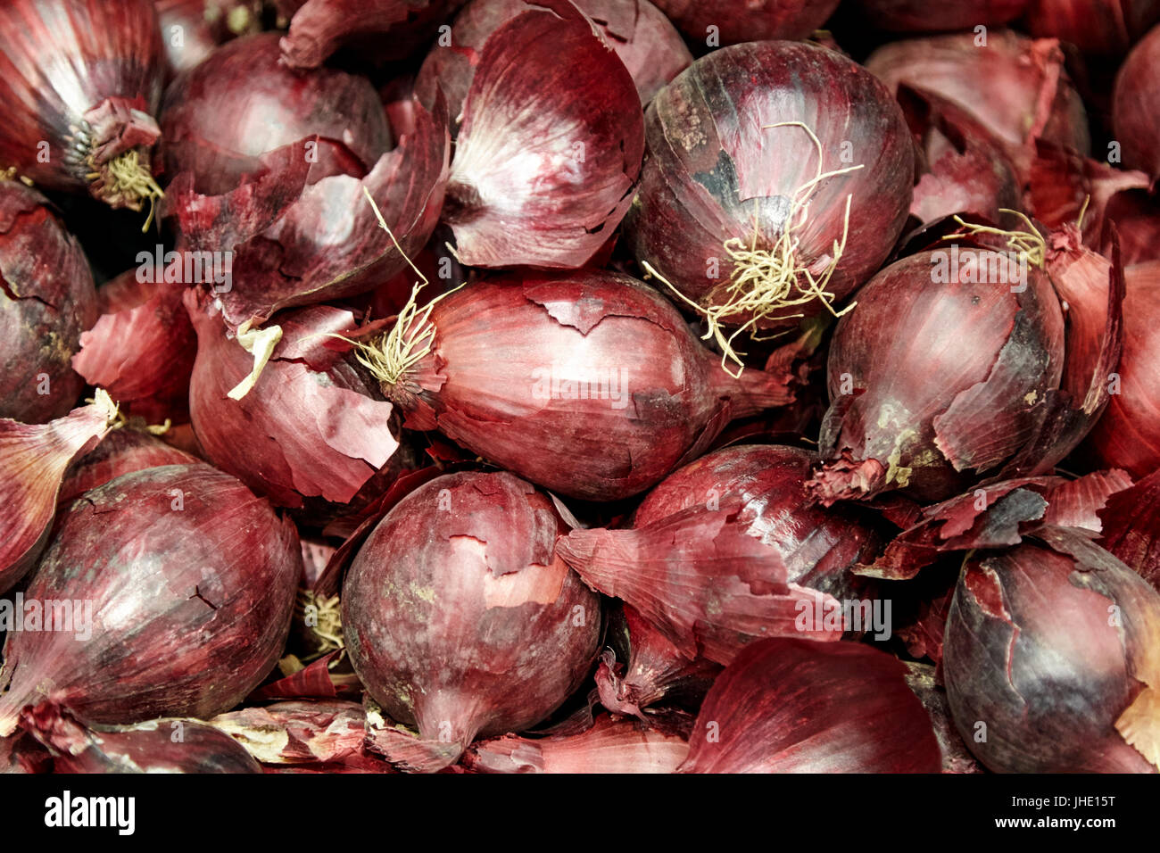 fresh red onions Stock Photo - Alamy