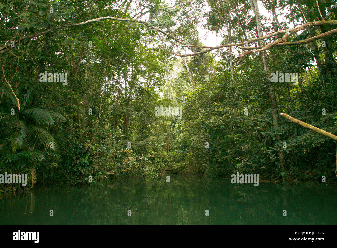 Belem do para 19 hi-res stock photography and images - Alamy