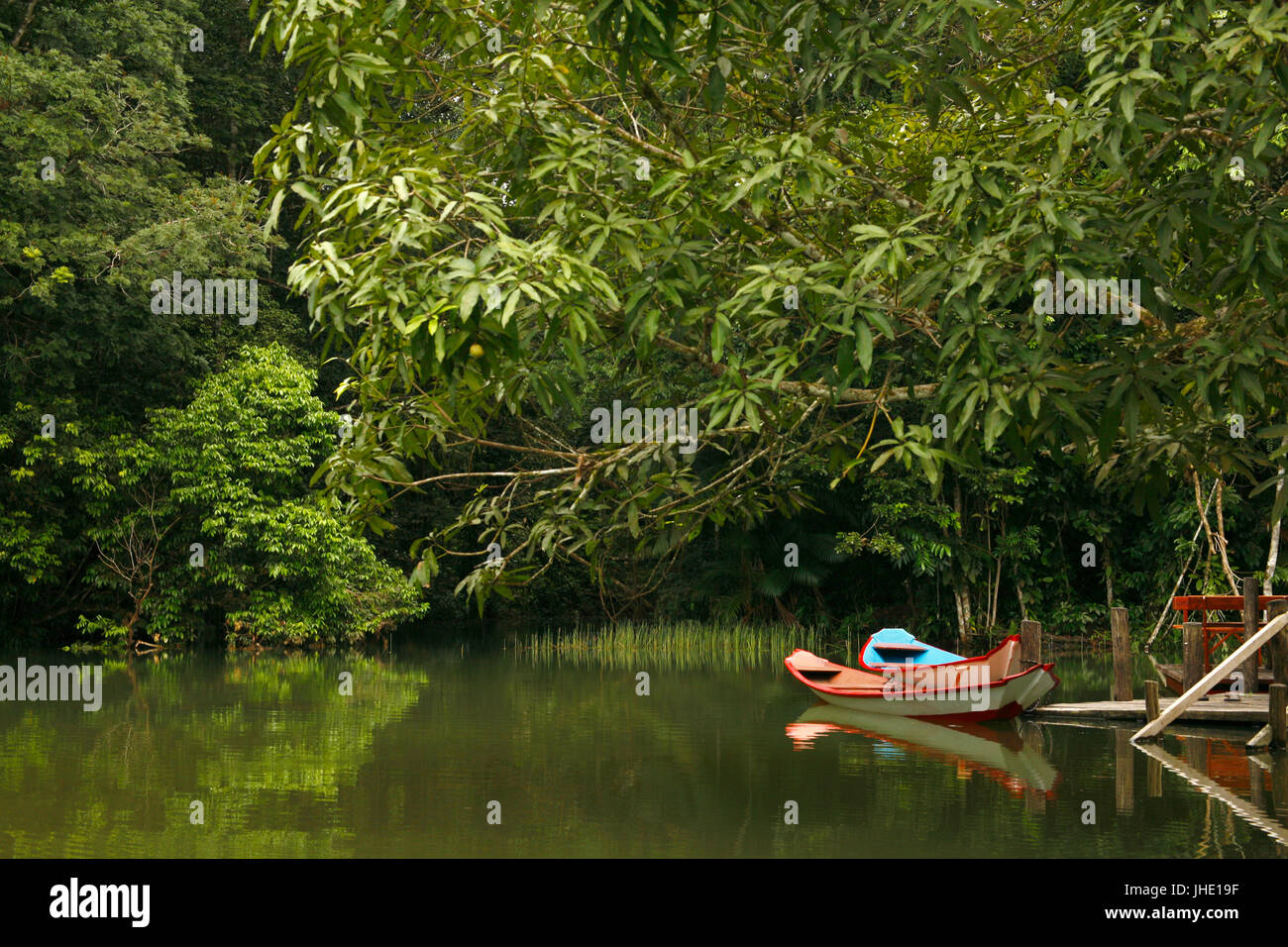 Belem do para 19 hi-res stock photography and images - Alamy