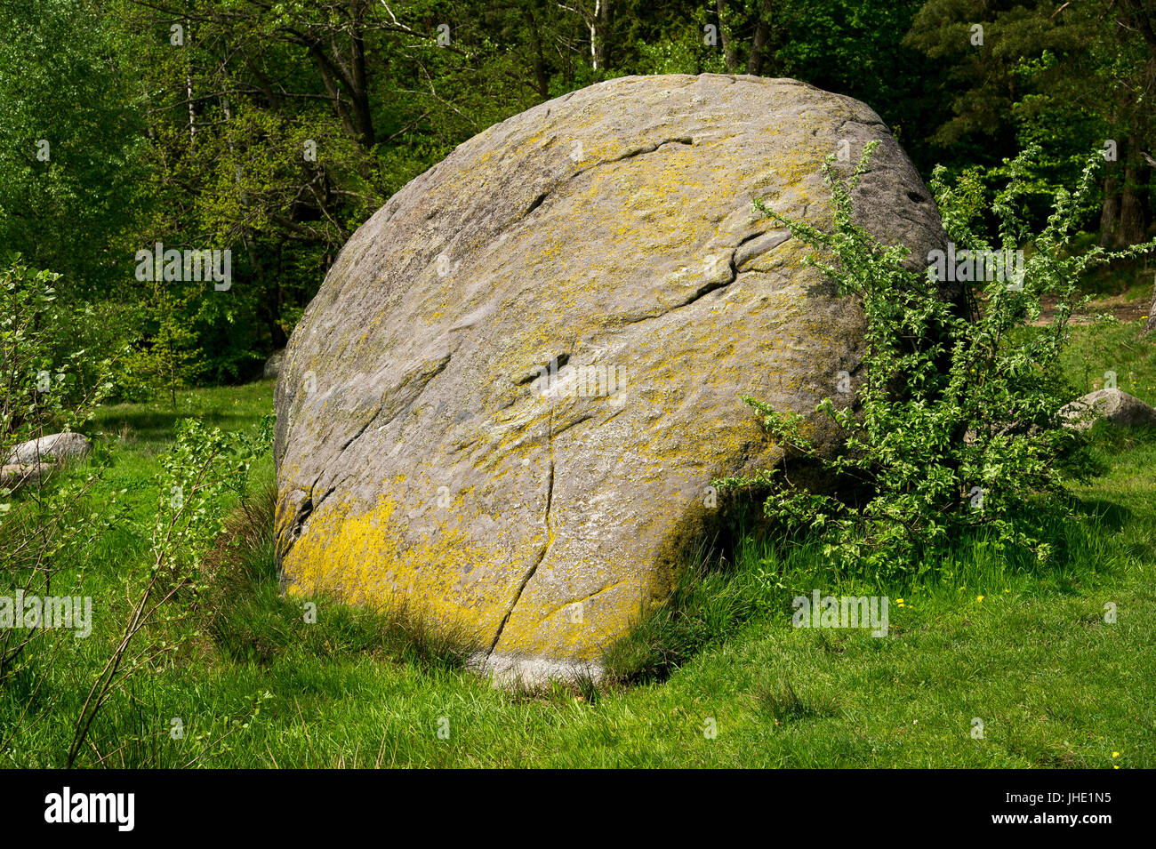 Glacial erratic called Devil's Stone (Diabelski Kamien) in the Zurawie ...