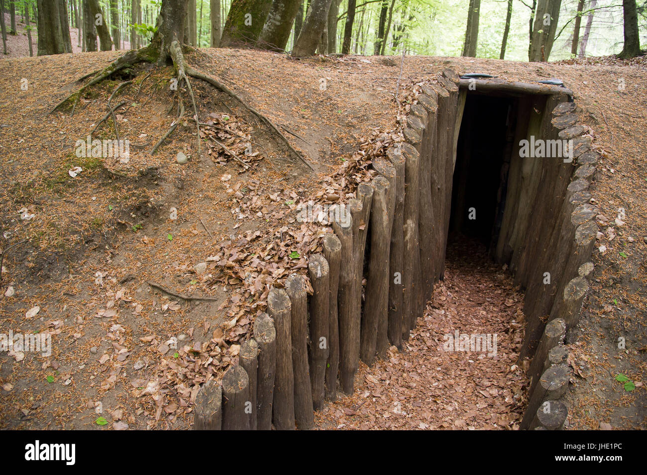 Forest Bunker High Resolution Stock Photography and Images - Alamy