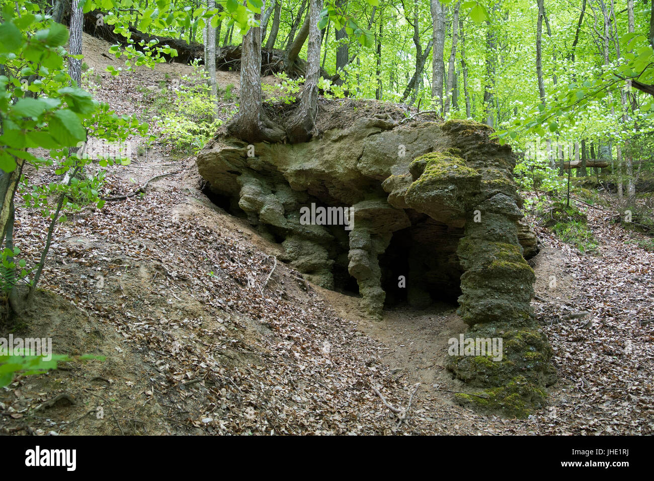 Mirachowo Caves (Groty Mirachowskie) in Lubygosc Reserve in Mirachowo ...