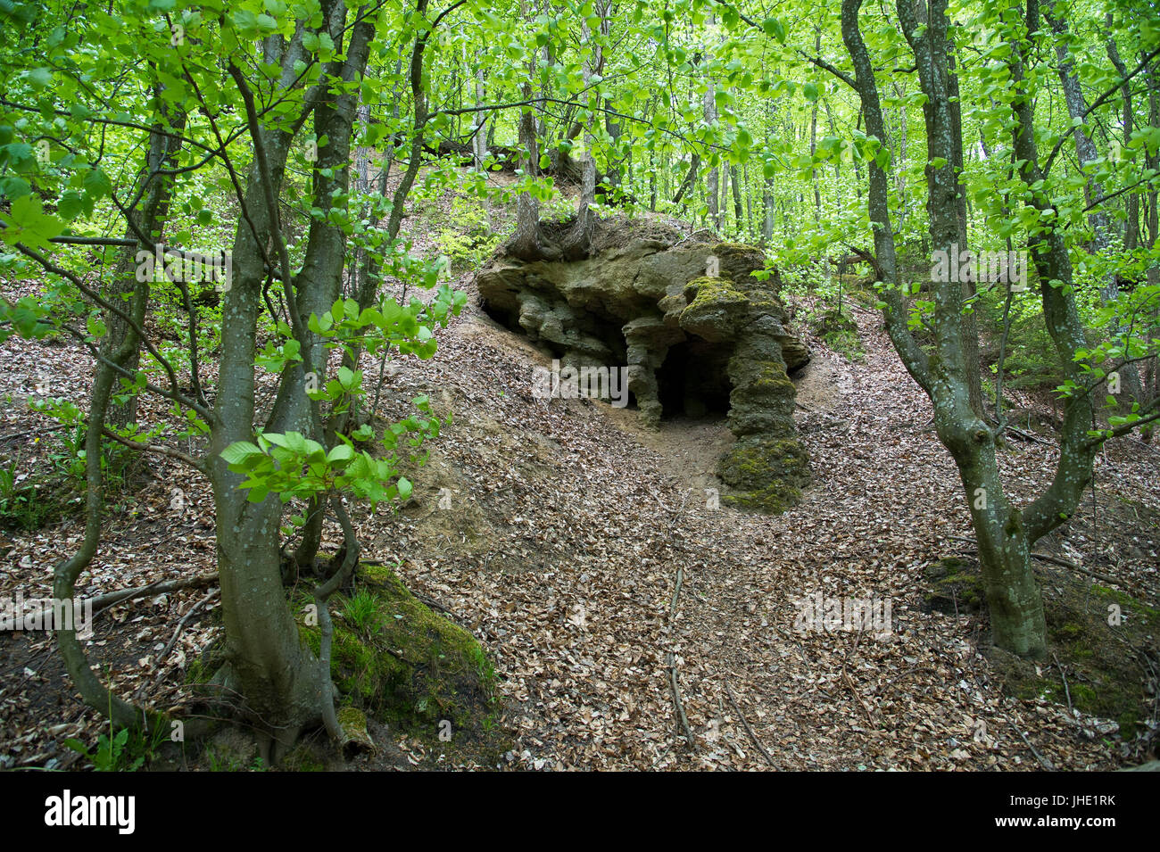 Mirachowo Caves (Groty Mirachowskie) in Lubygosc Reserve in Mirachowo ...