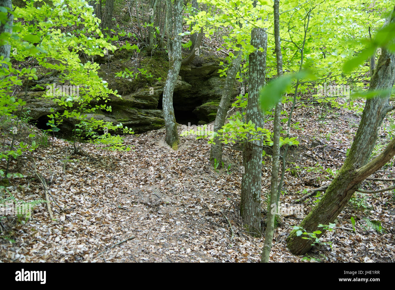 Mirachowo Caves (Groty Mirachowskie) in Lubygosc Reserve in Mirachowo ...
