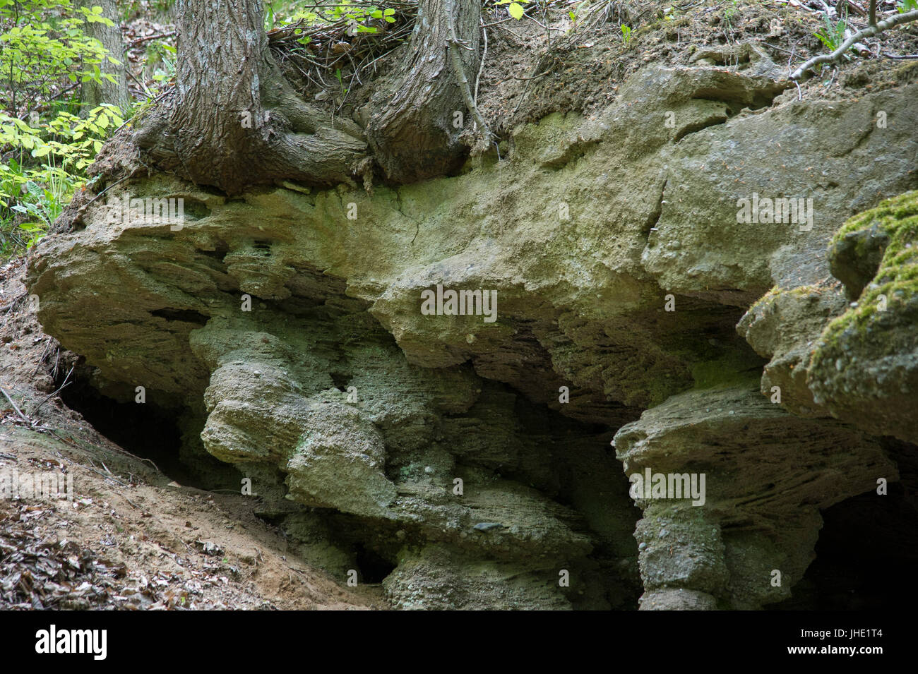 Mirachowo Caves (Groty Mirachowskie) in Lubygosc Reserve in Mirachowo ...