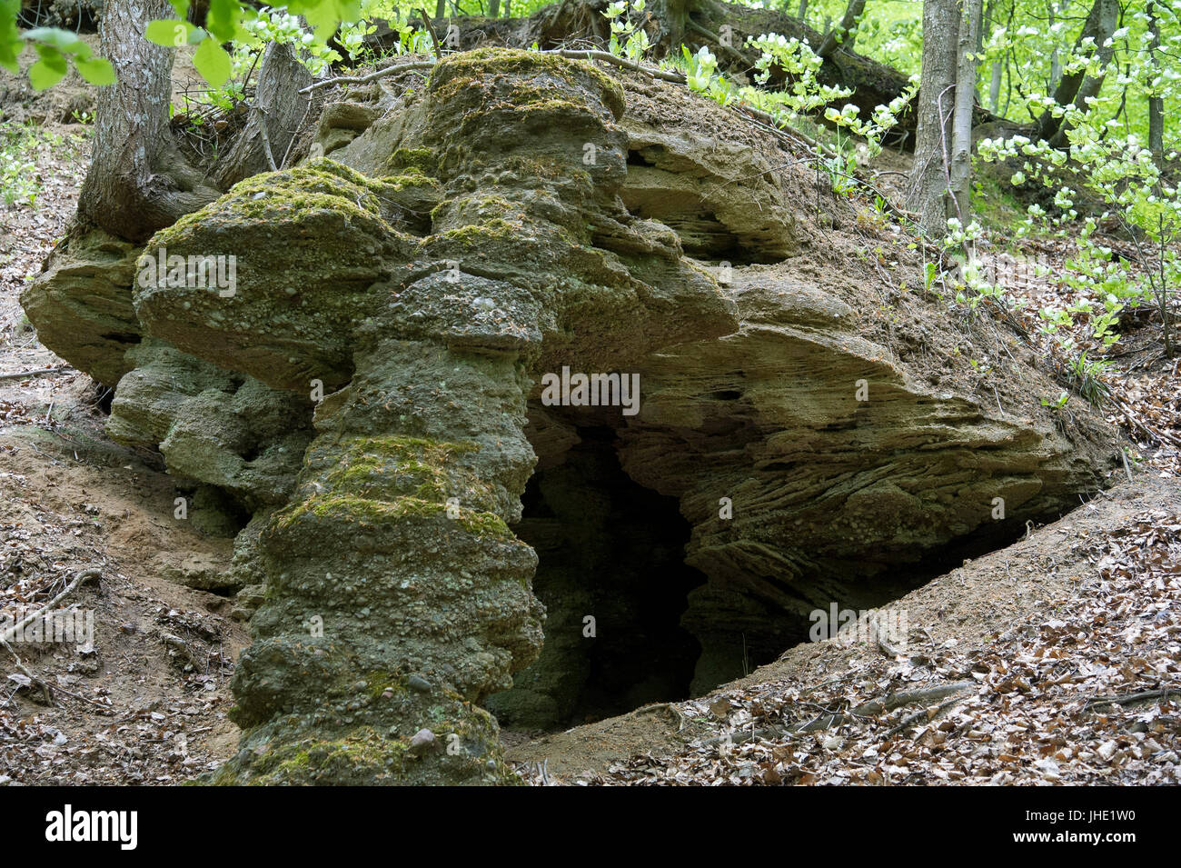 Mirachowo Caves (Groty Mirachowskie) in Lubygosc Reserve in Mirachowo ...