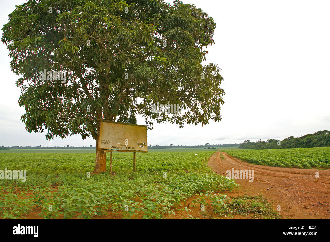 Fazenda rosangela hi-res stock photography and images - Alamy