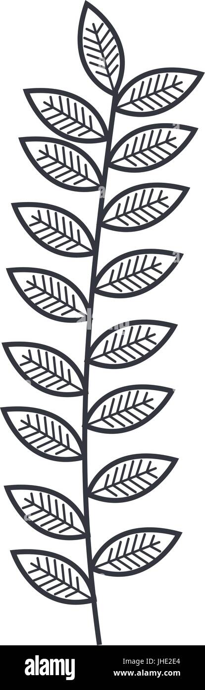 Leafy branch natural icon vector illustration design Stock Vector Image ...