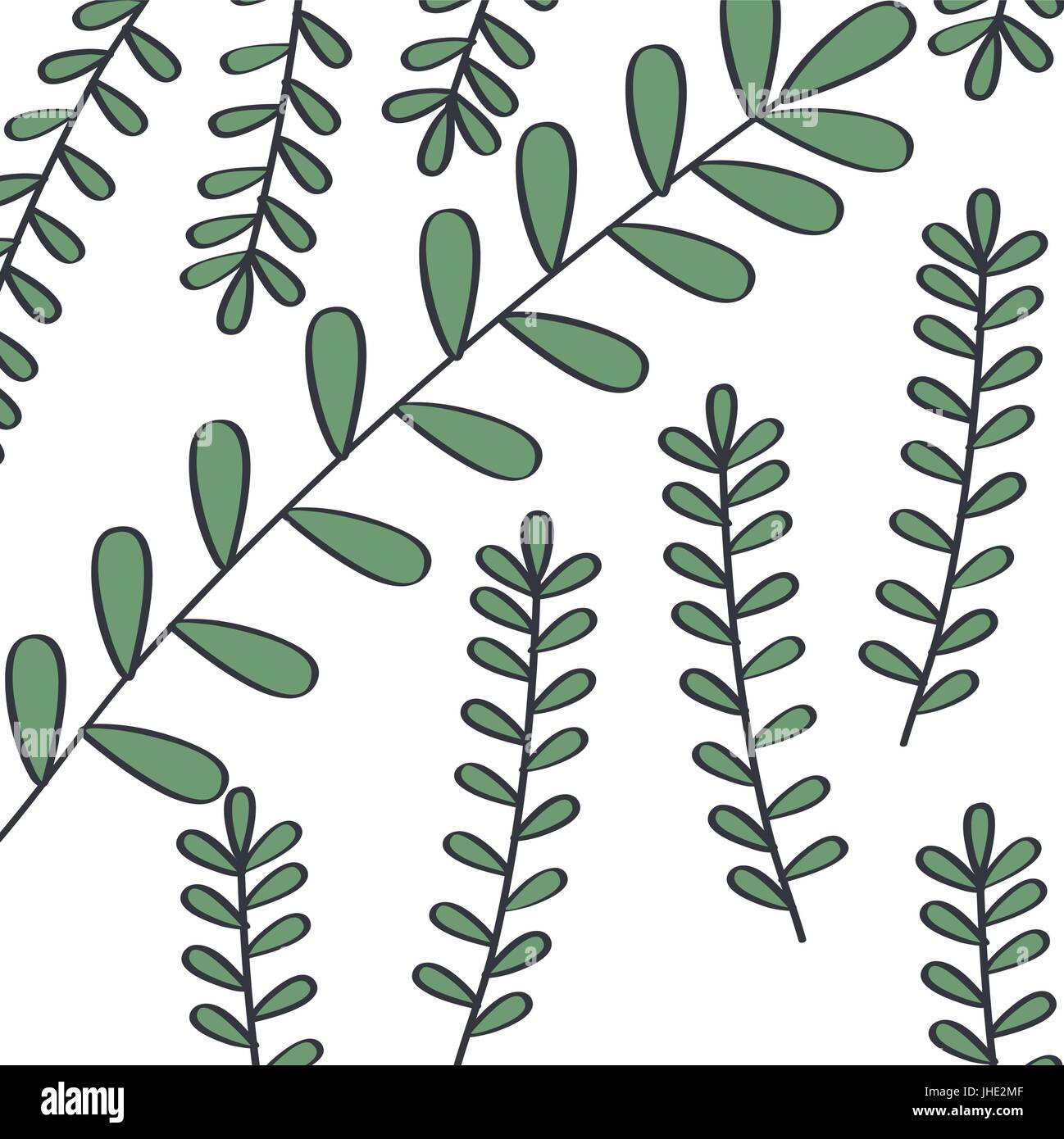 Leafy branch natural pattern vector illustration design Stock Vector ...