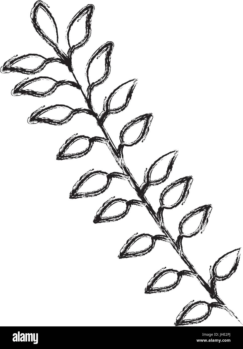 Leafy branch natural icon vector illustration design Stock Vector Image ...