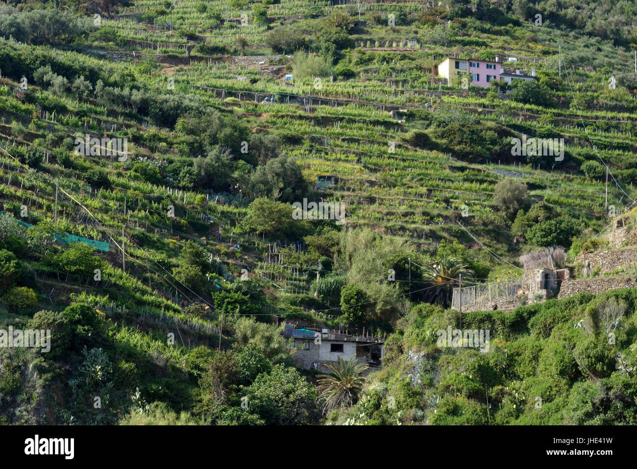 Hillside farming hi-res stock photography and images - Alamy