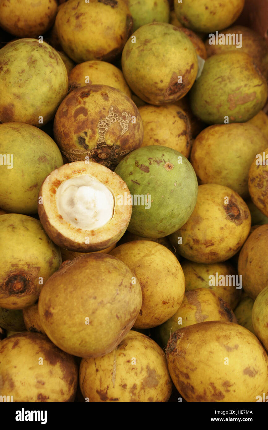 Fruit, tropical, bacuri, Belém, Pará, Brazil Stock Photo - Alamy