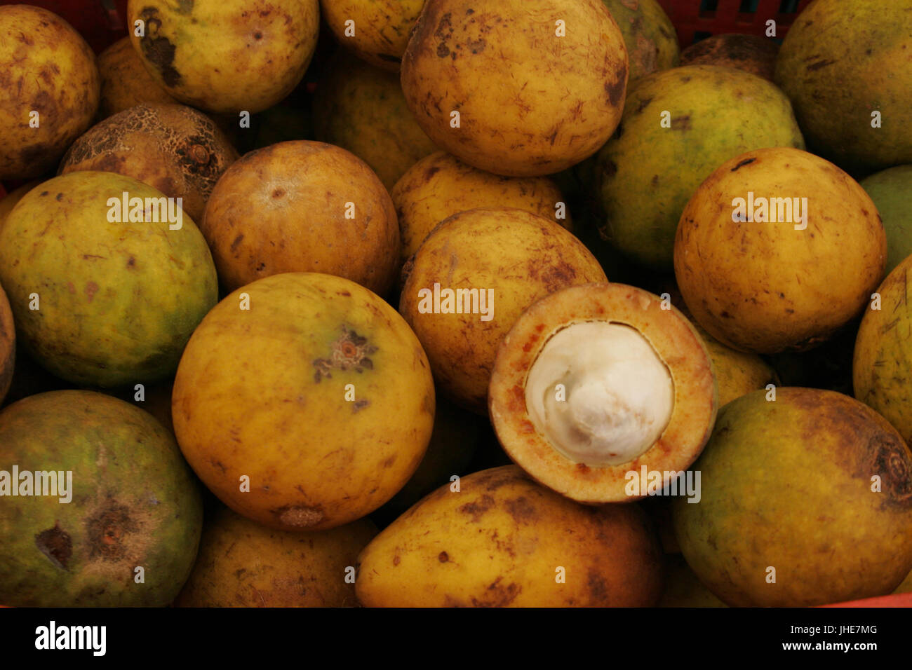Fruit, tropical, bacuri, Belém, Pará, Brazil Stock Photo - Alamy