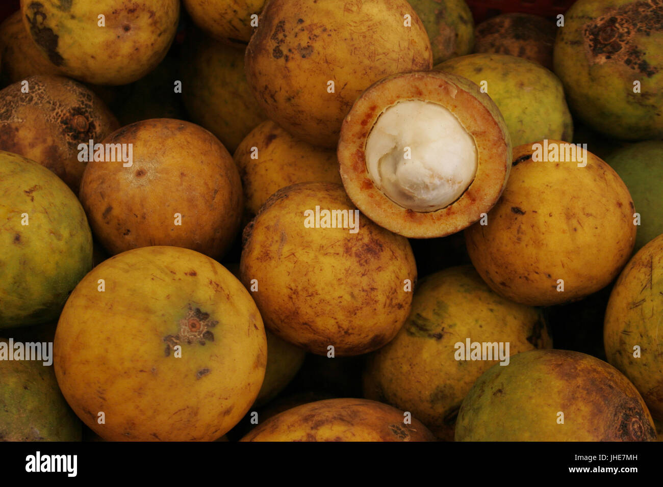 Fruit, tropical, bacuri, Belém, Pará, Brazil Stock Photo - Alamy