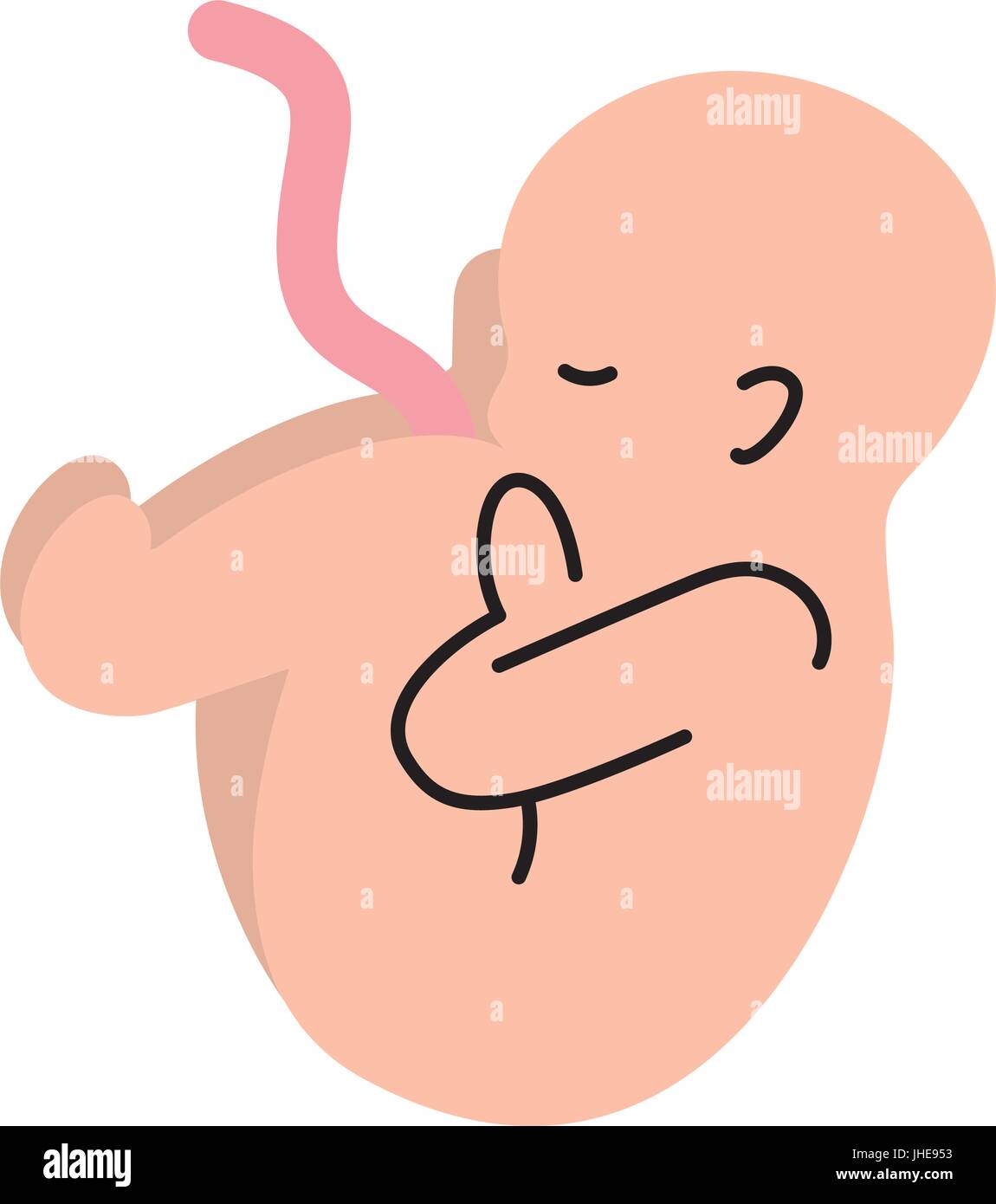 human fetus isolated icon Stock Vector Image & Art - Alamy