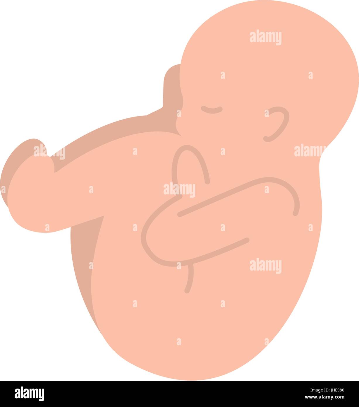 human fetus isolated icon Stock Vector Image & Art - Alamy