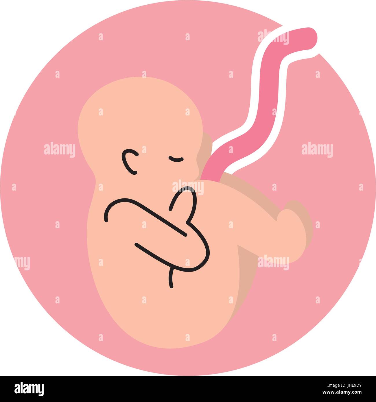 human fetus isolated icon Stock Vector Image & Art - Alamy
