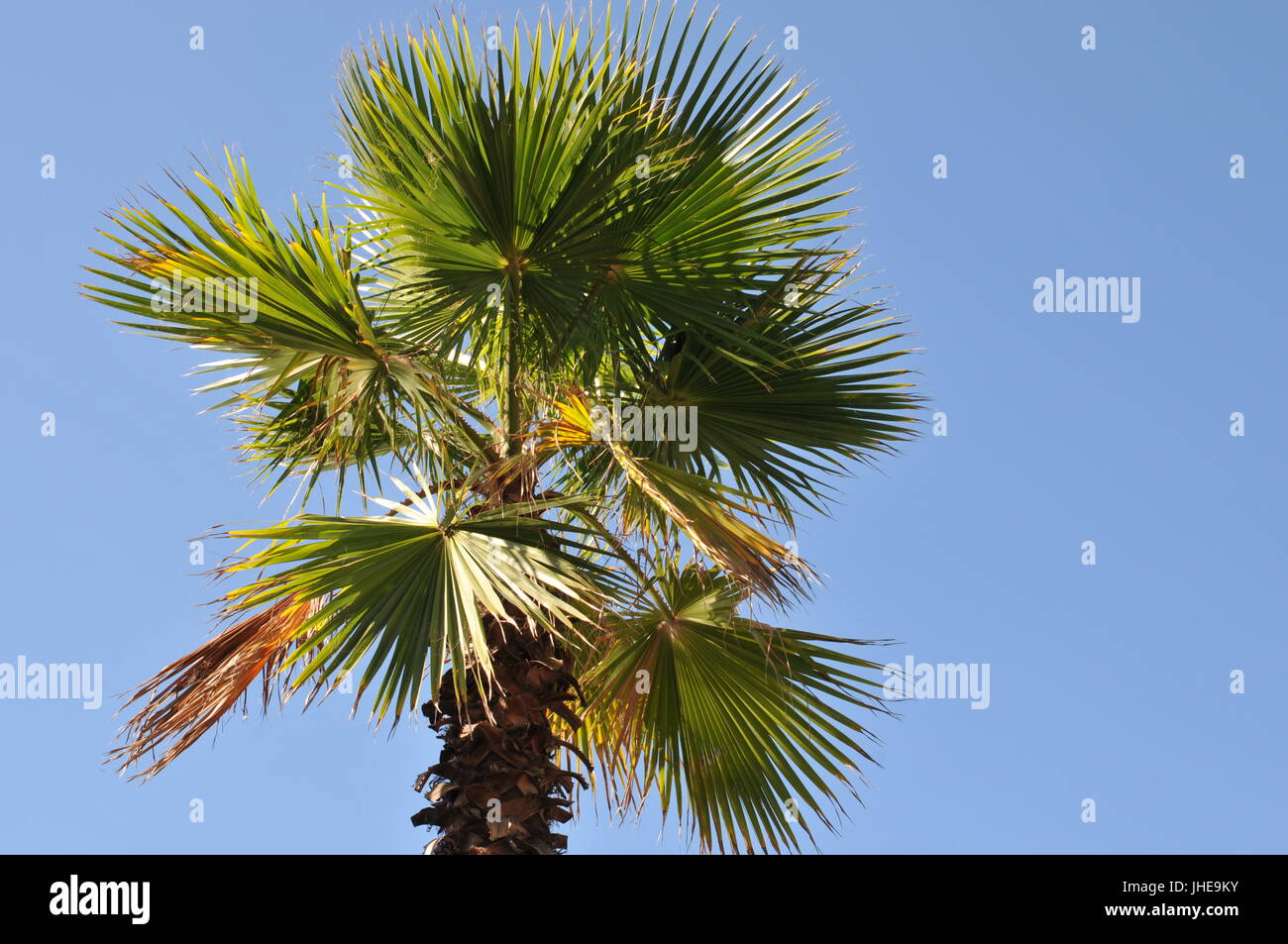Landscapes, River Rhine Country Stock Photo - Alamy