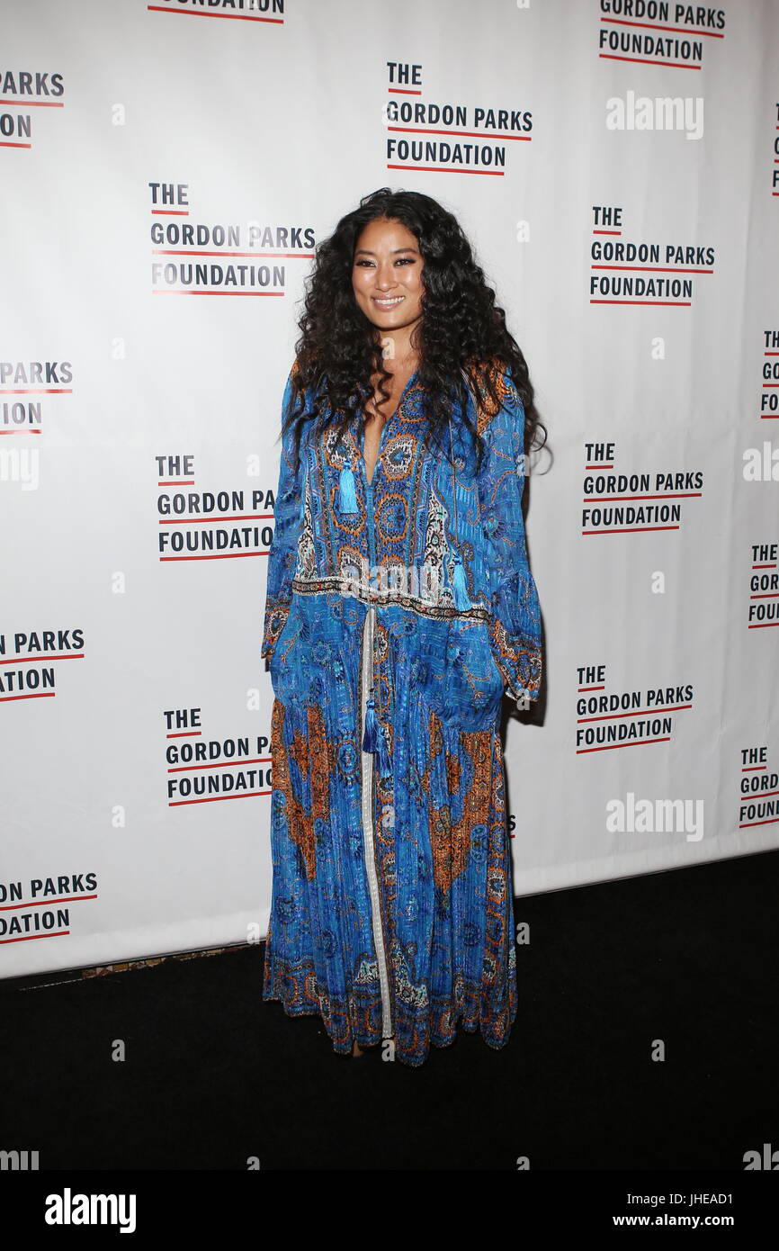 Gordon Parks Foundation Awards Dinner and Auction at Cipriani 42nd ...