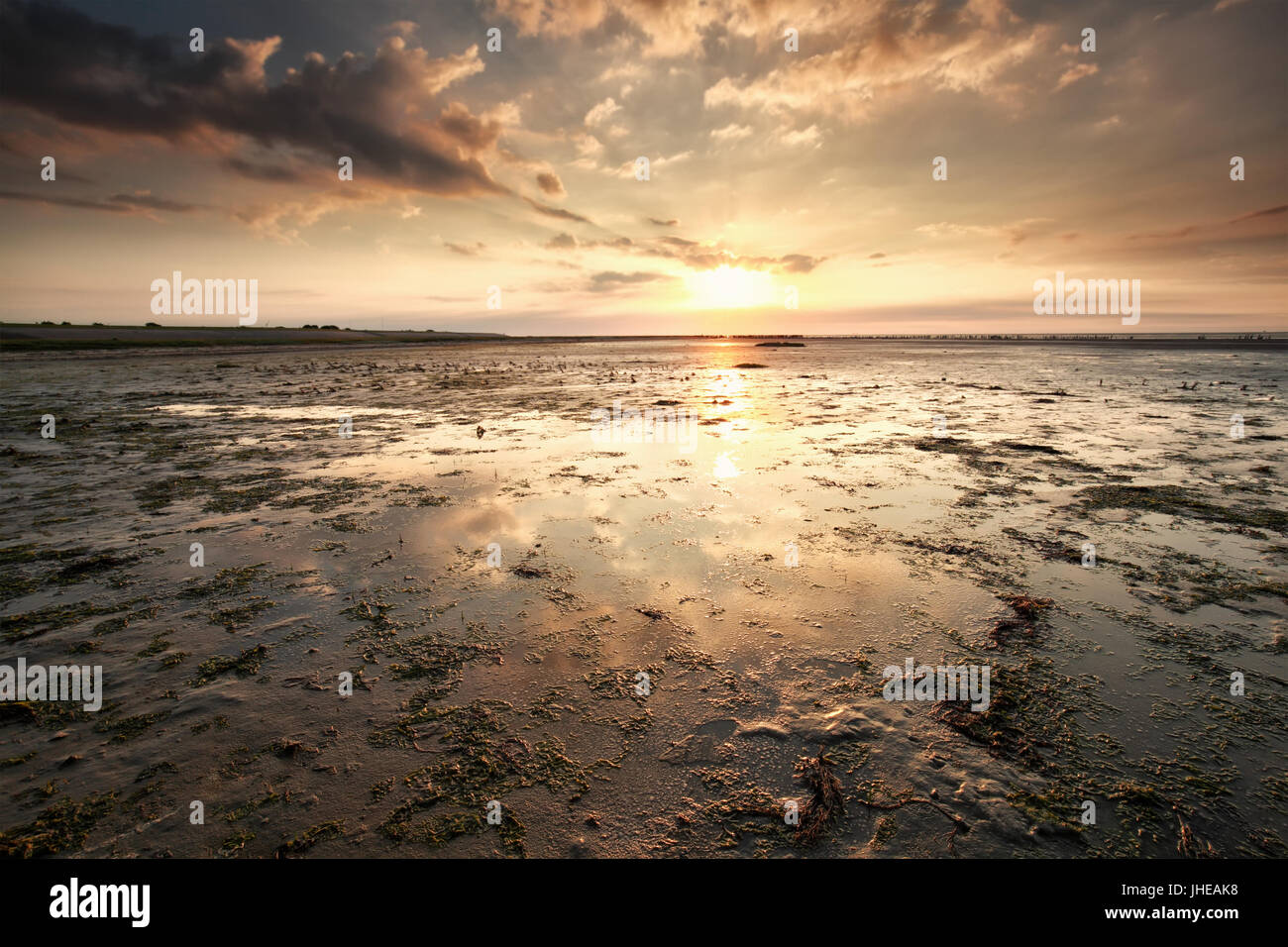 sunset over Wadden sea coast, Friesland, Netherlands Stock Photo - Alamy