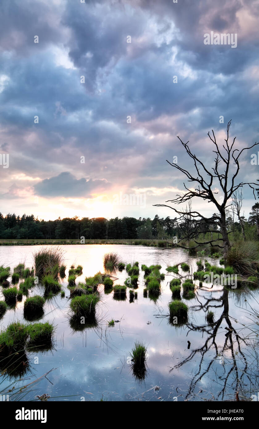 Cloud over dry lake hi-res stock photography and images - Alamy