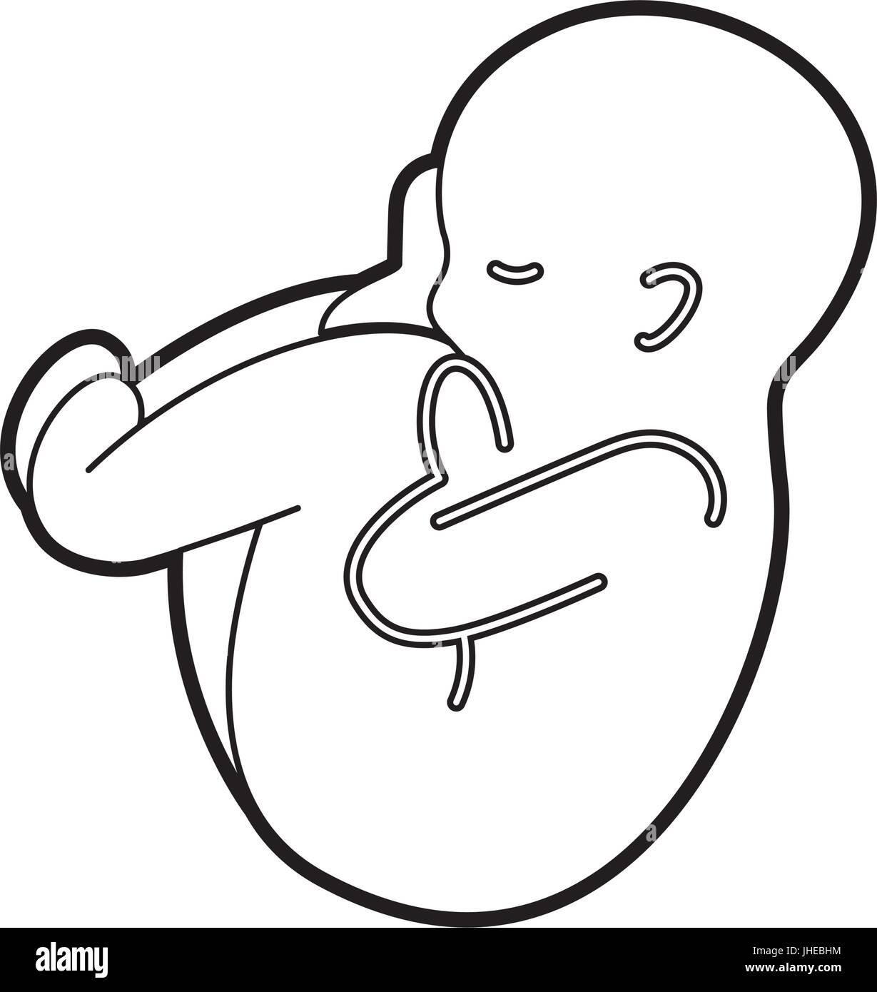 human fetus isolated icon Stock Vector Image & Art - Alamy