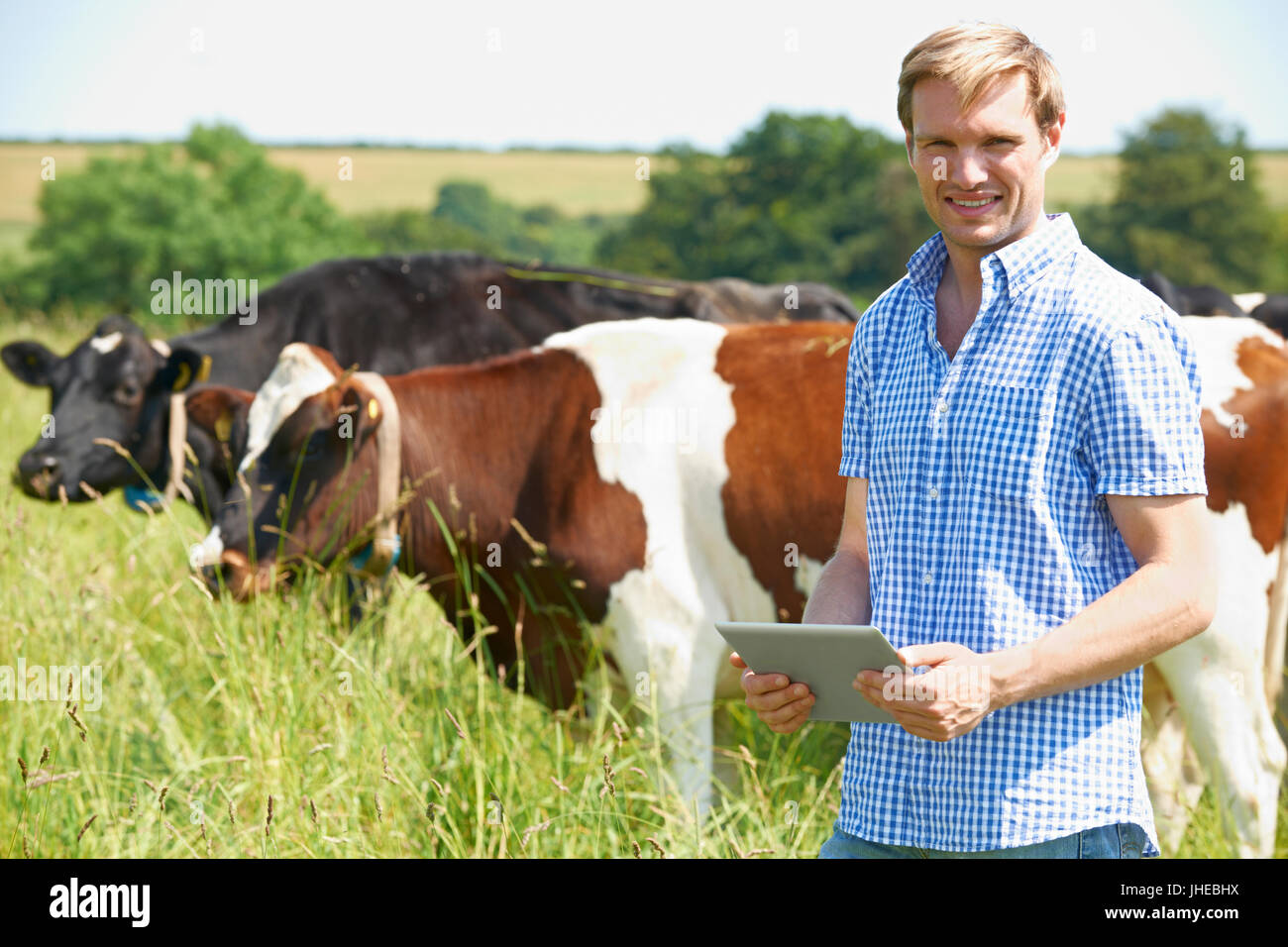 Man working dairy farm field hi-res stock photography and images - Alamy