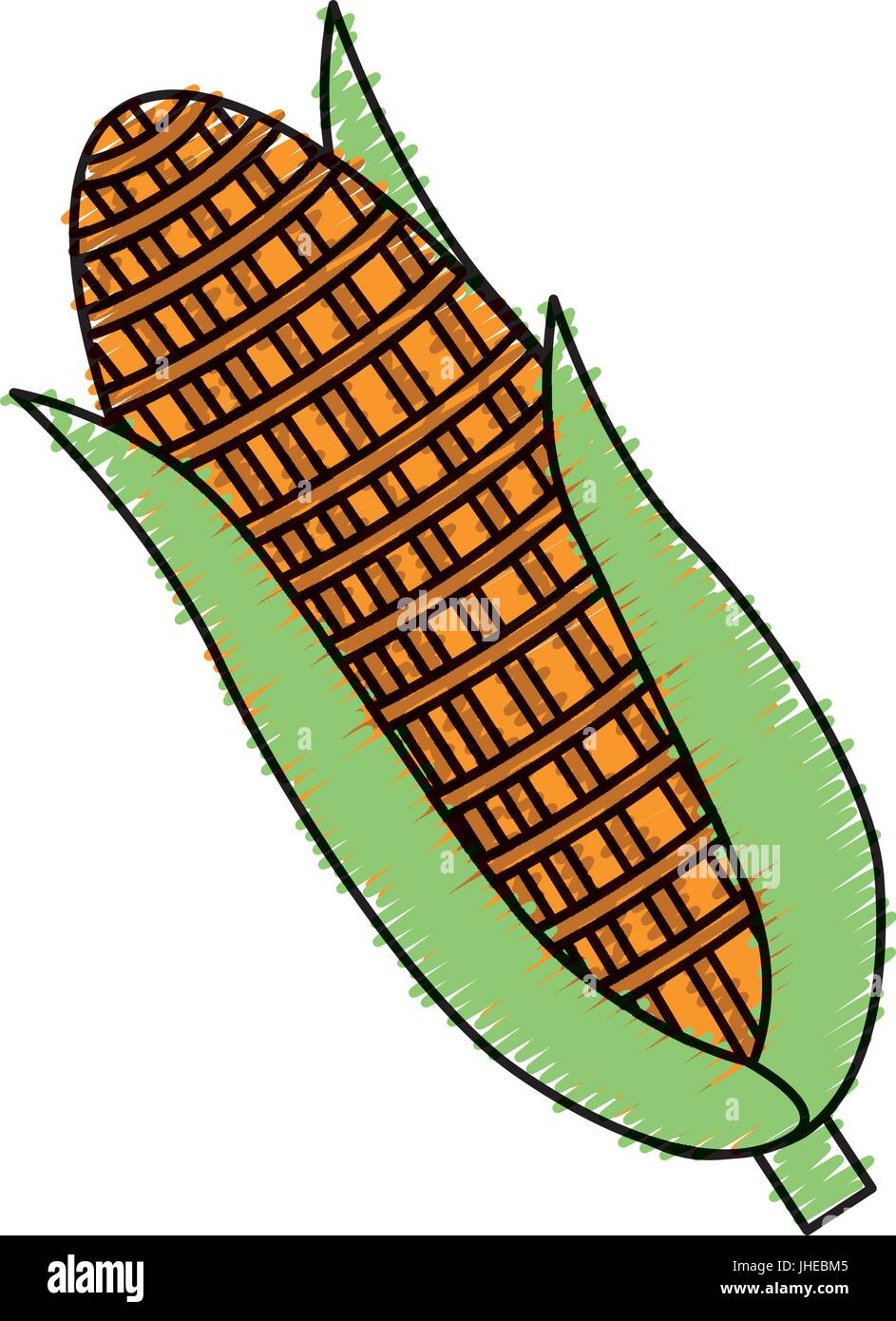 Native corn plant Cut Out Stock Images & Pictures - Alamy