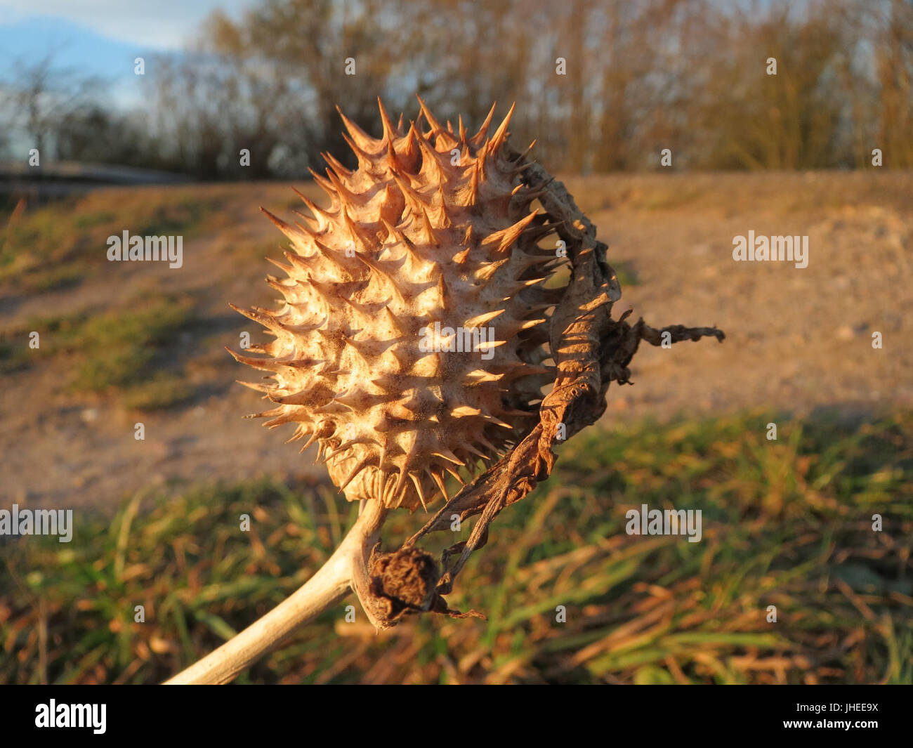 Toxicity risks hi-res stock photography and images - Alamy