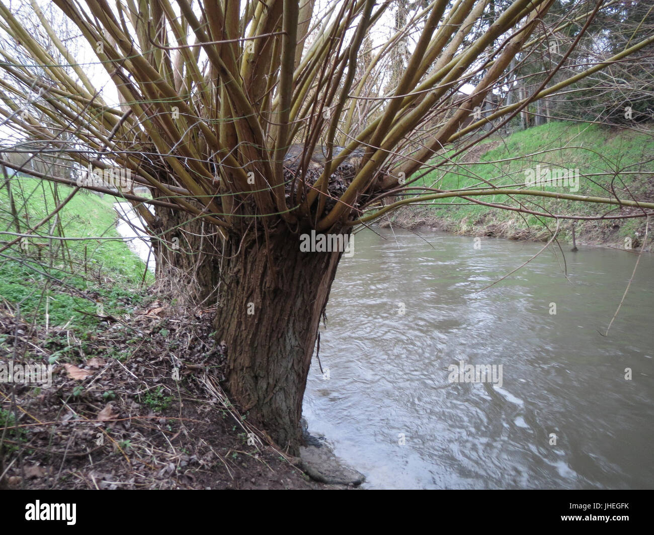 Pain zones hi-res stock photography and images - Alamy