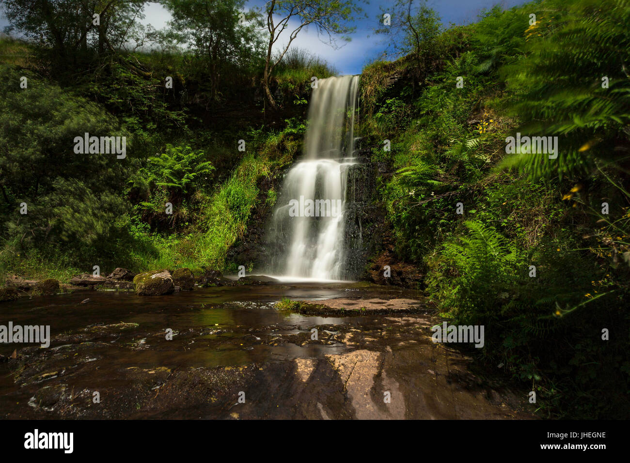 Talybont Forest High Resolution Stock Photography and Images - Alamy