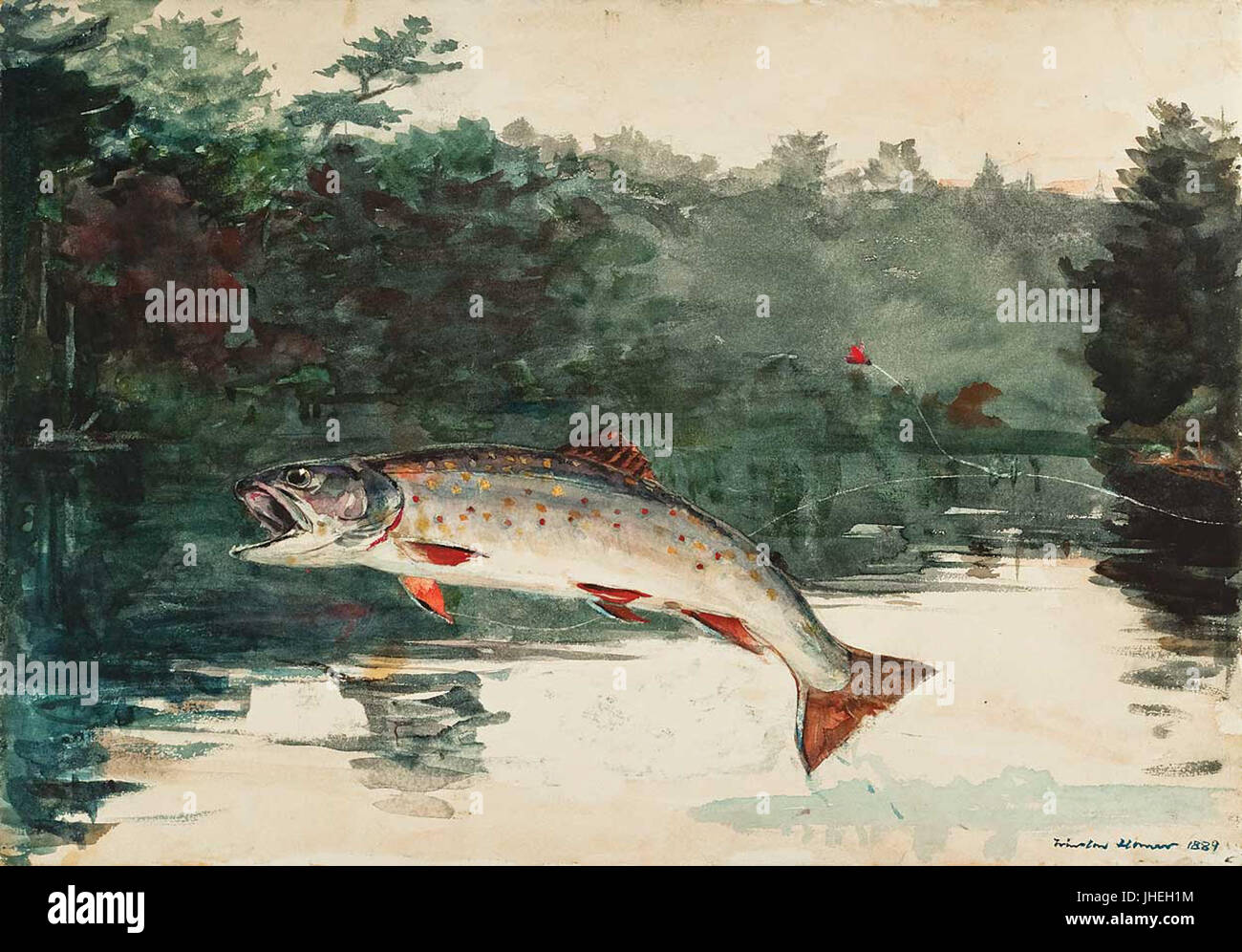 Leaping trout hi-res stock photography and images - Alamy