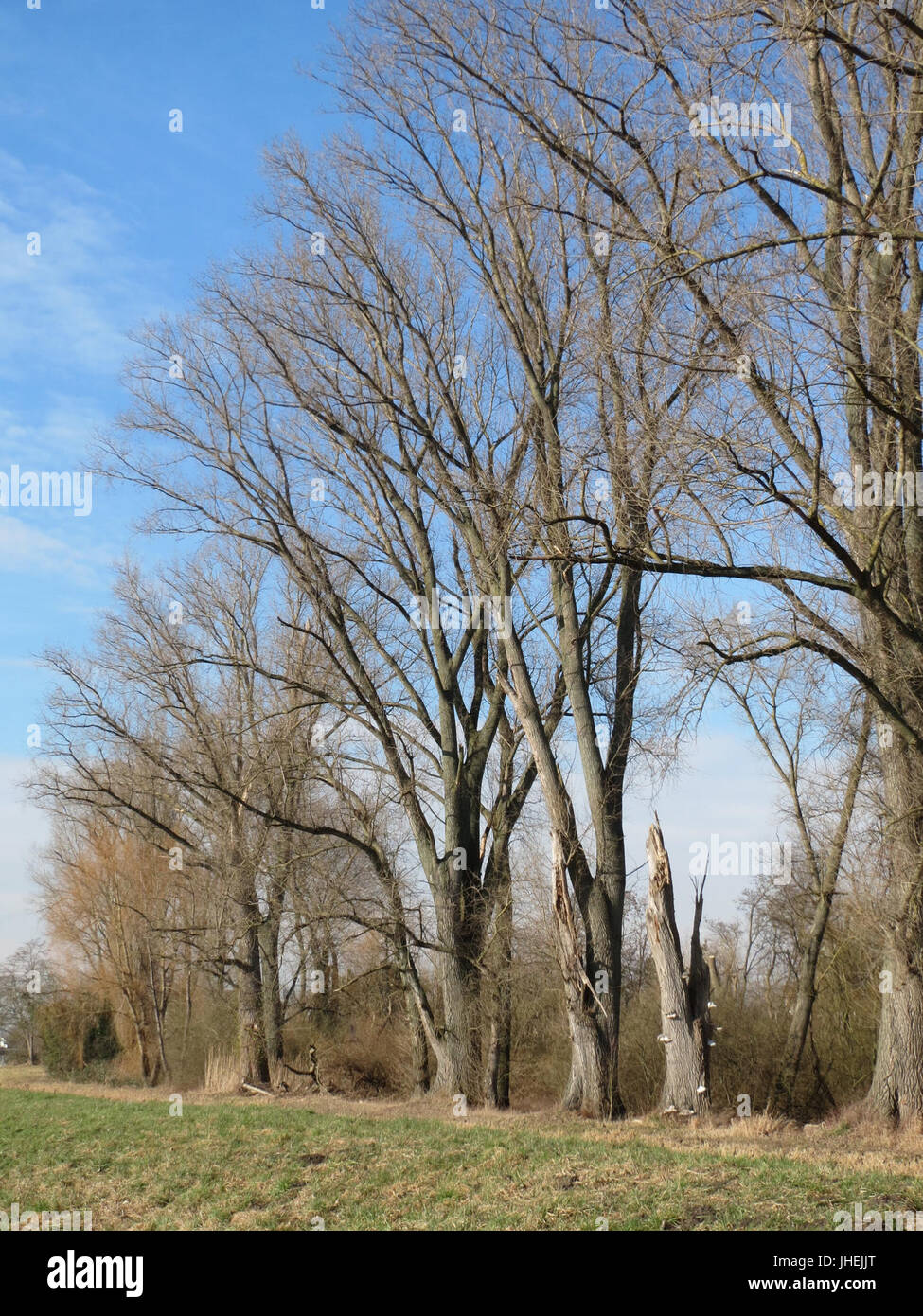 Canadensis map hi-res stock photography and images - Alamy