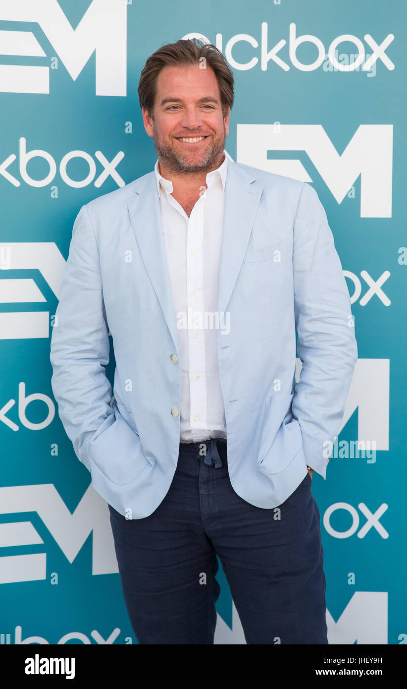Actor Michael Weatherly at the party for NEM (New Europe Market) guests ...