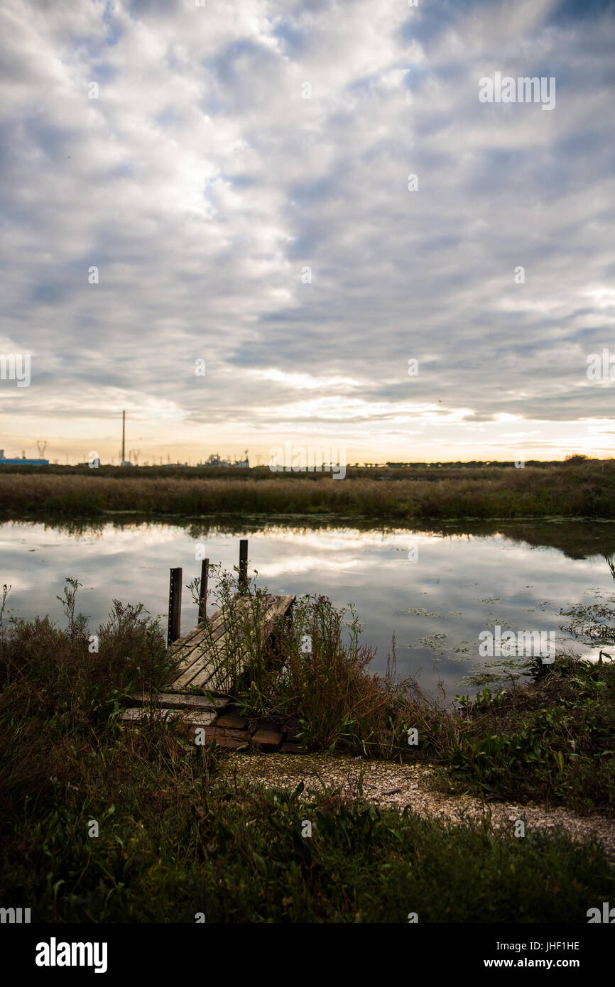 500px Photo ID: 75217861 - swamp in Ravenna - Italy Stock Photo - Alamy