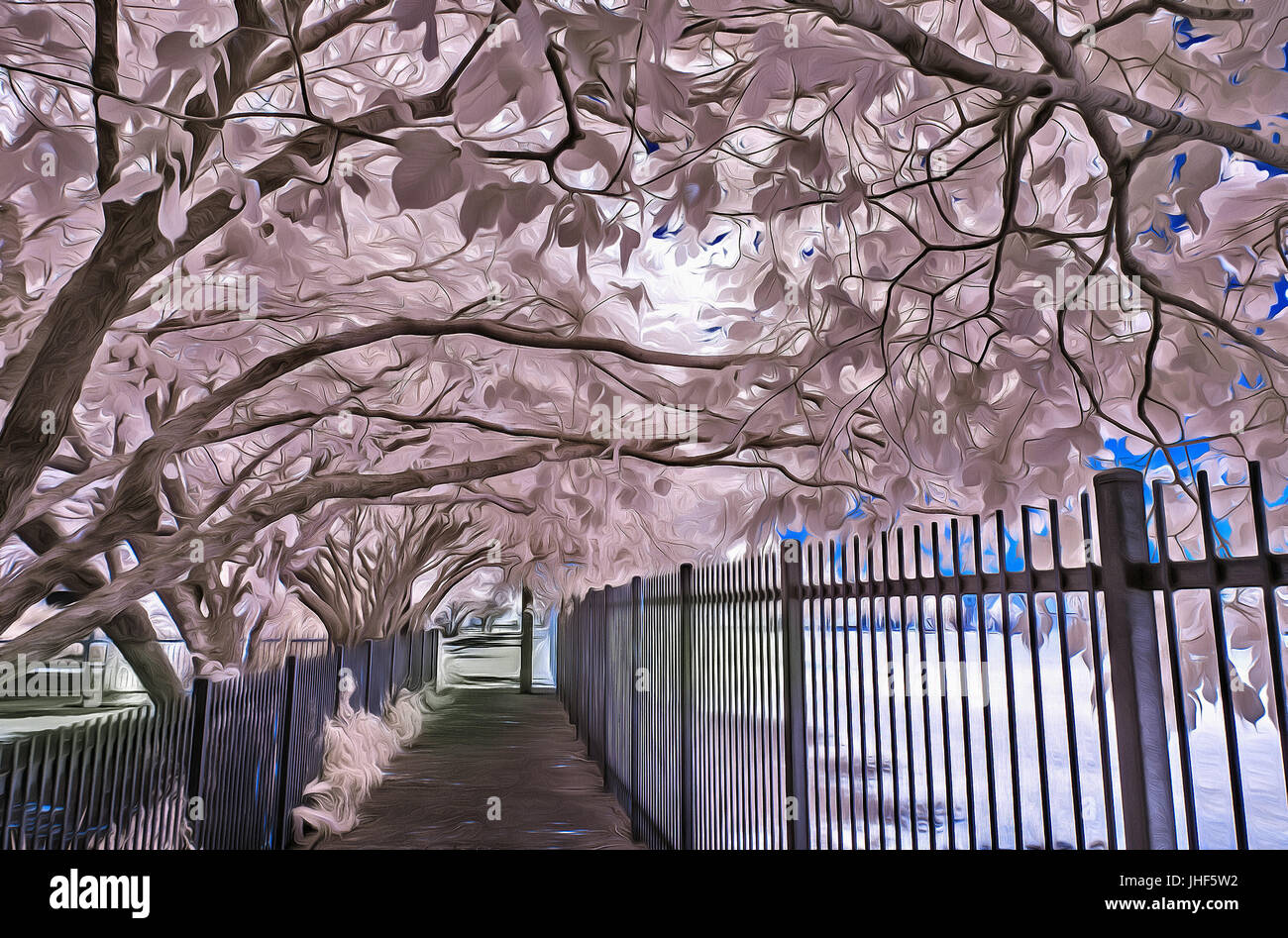 Painting of a shaded pathway bordered by a fence Stock Photo - Alamy