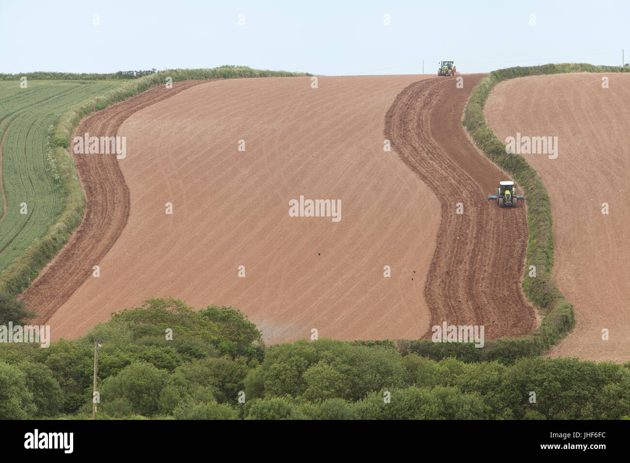 Hedge on a hill hi-res stock photography and images - Alamy