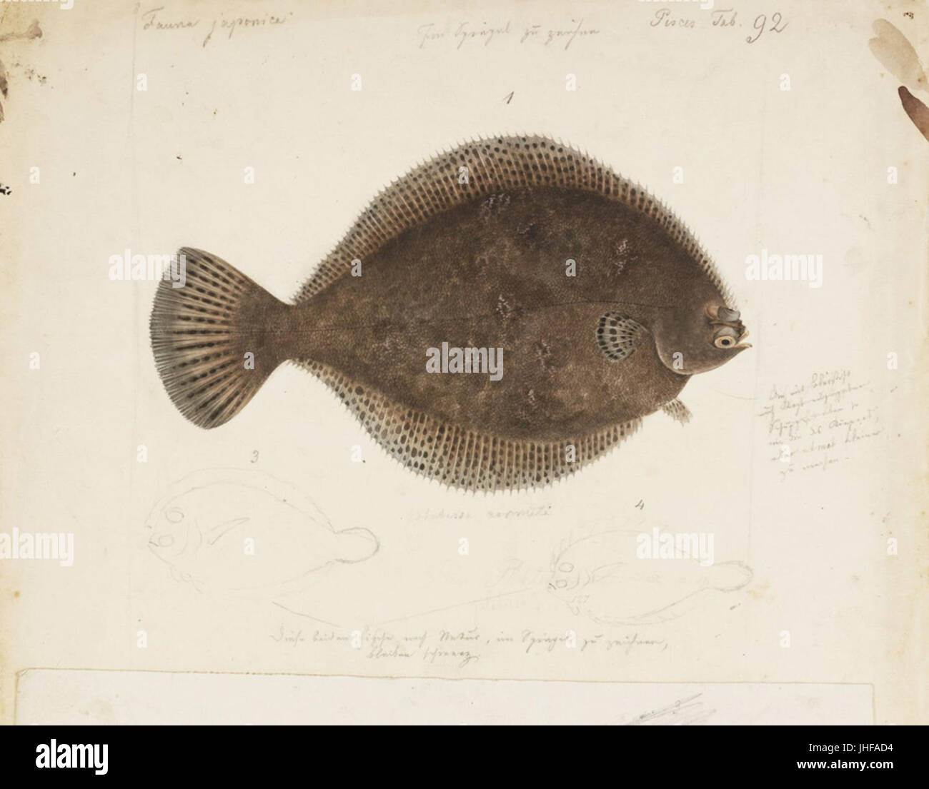 1823 69 hi-res stock photography and images - Alamy