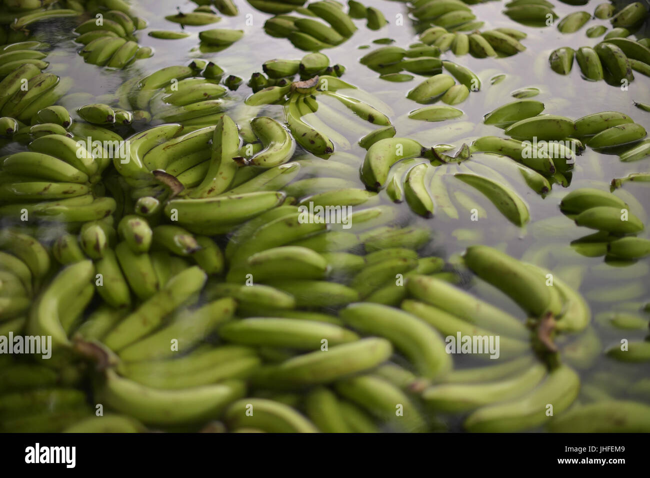 Banana processing plant hi-res stock photography and images - Alamy
