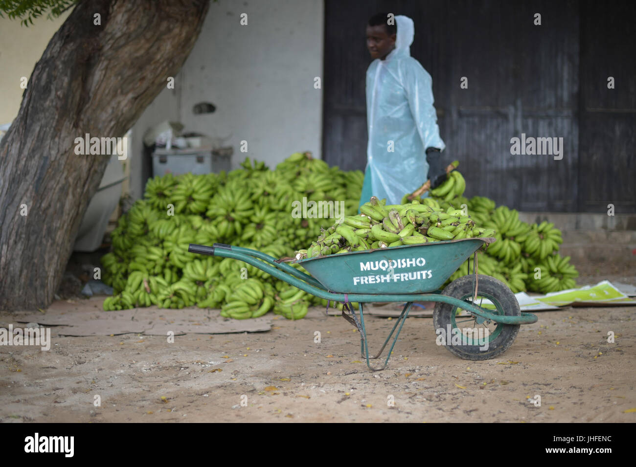 Fruit processing hi-res stock photography and images - Alamy
