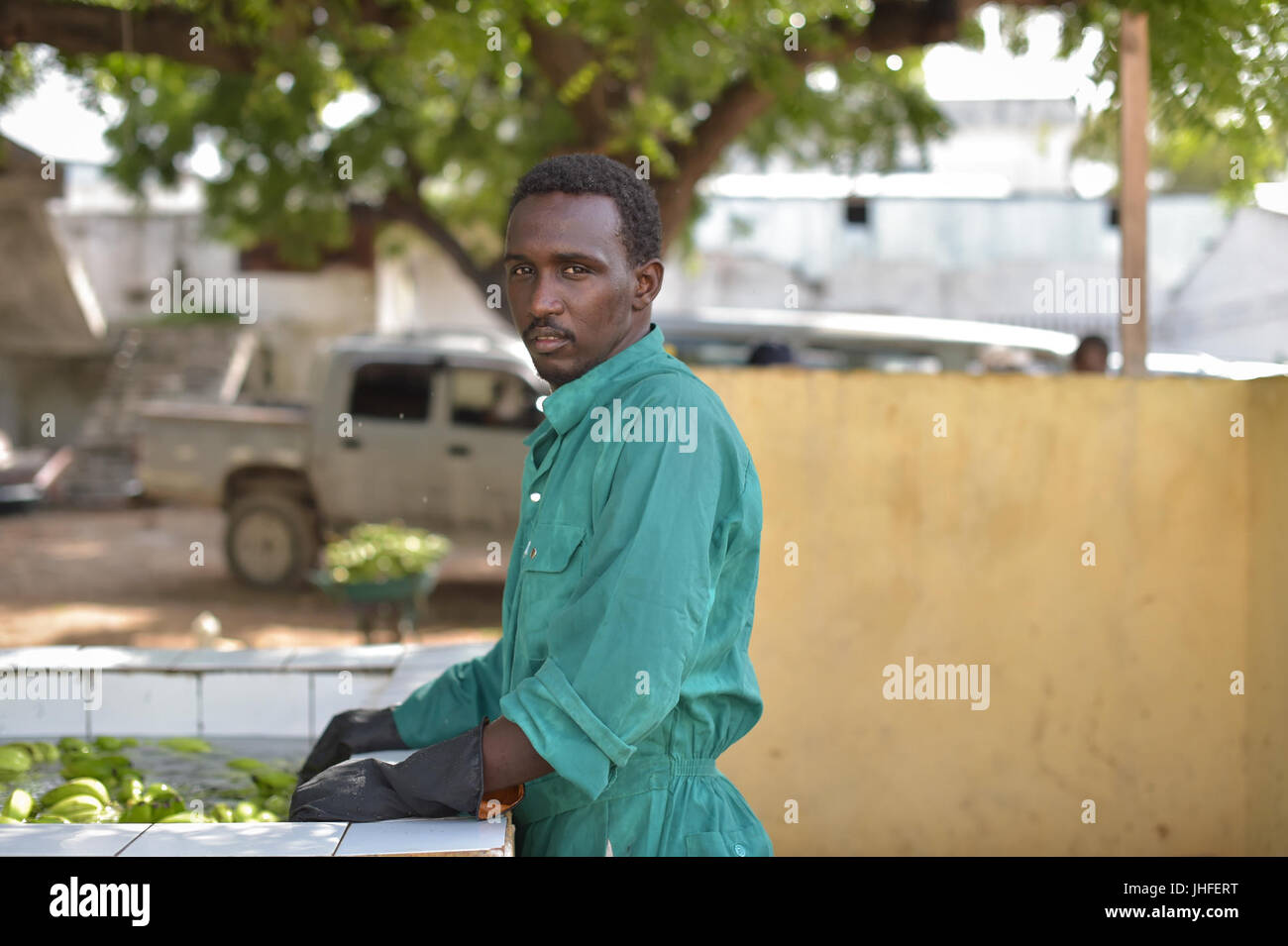 2015 29 Banana processing-9 (20957781691 Stock Photo - Alamy
