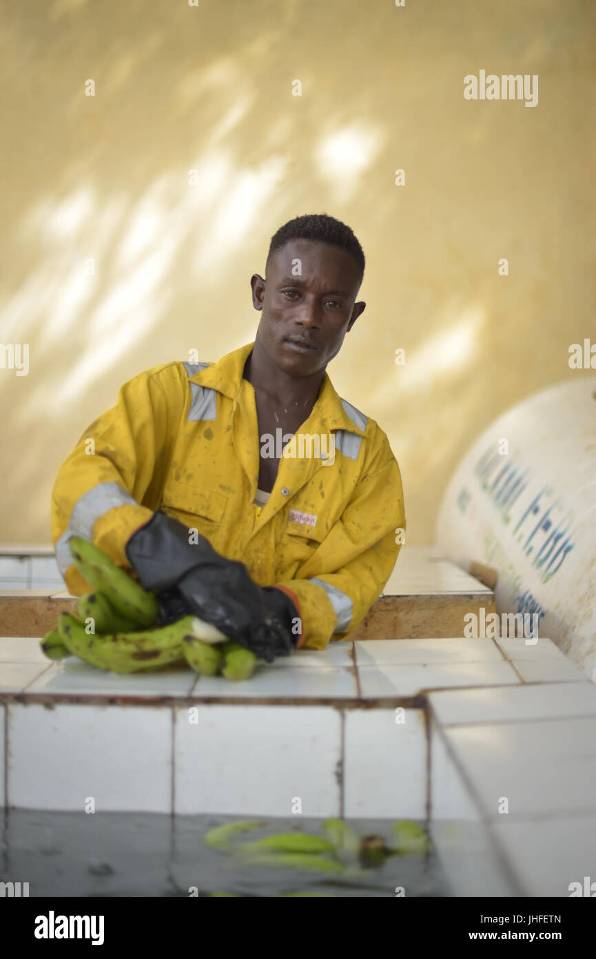 Fruit processing hi-res stock photography and images - Alamy