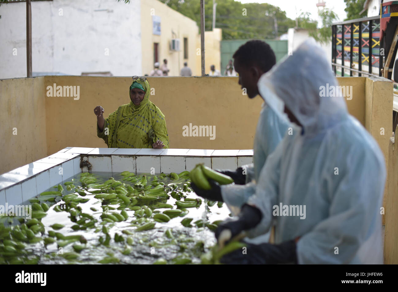 Banana processing hi-res stock photography and images - Alamy