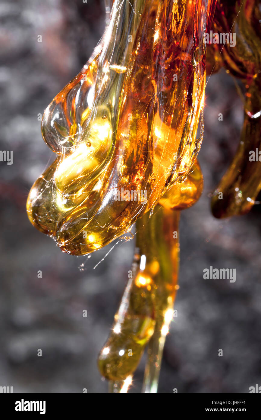 Fossil resin hi-res stock photography and images - Alamy