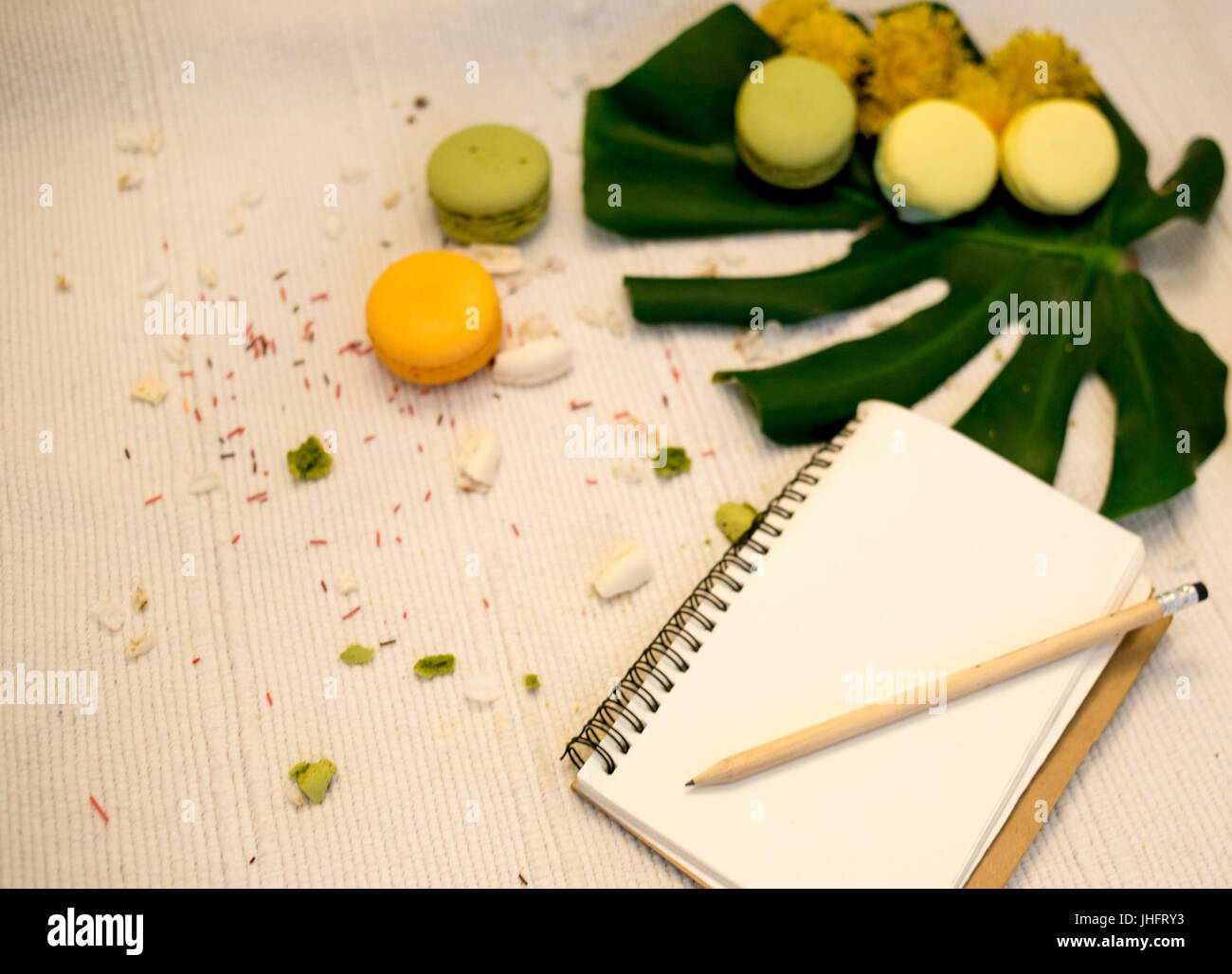 Eco Notebook on a white background with a sheet of monsters and ...