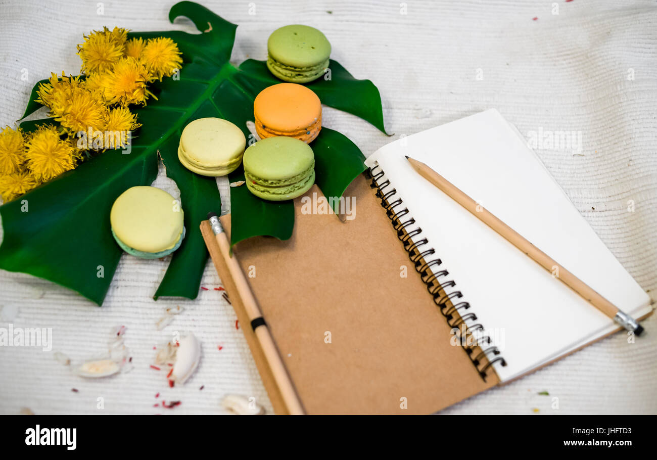 Eco Notebook on a white background with a sheet of monsters and ...