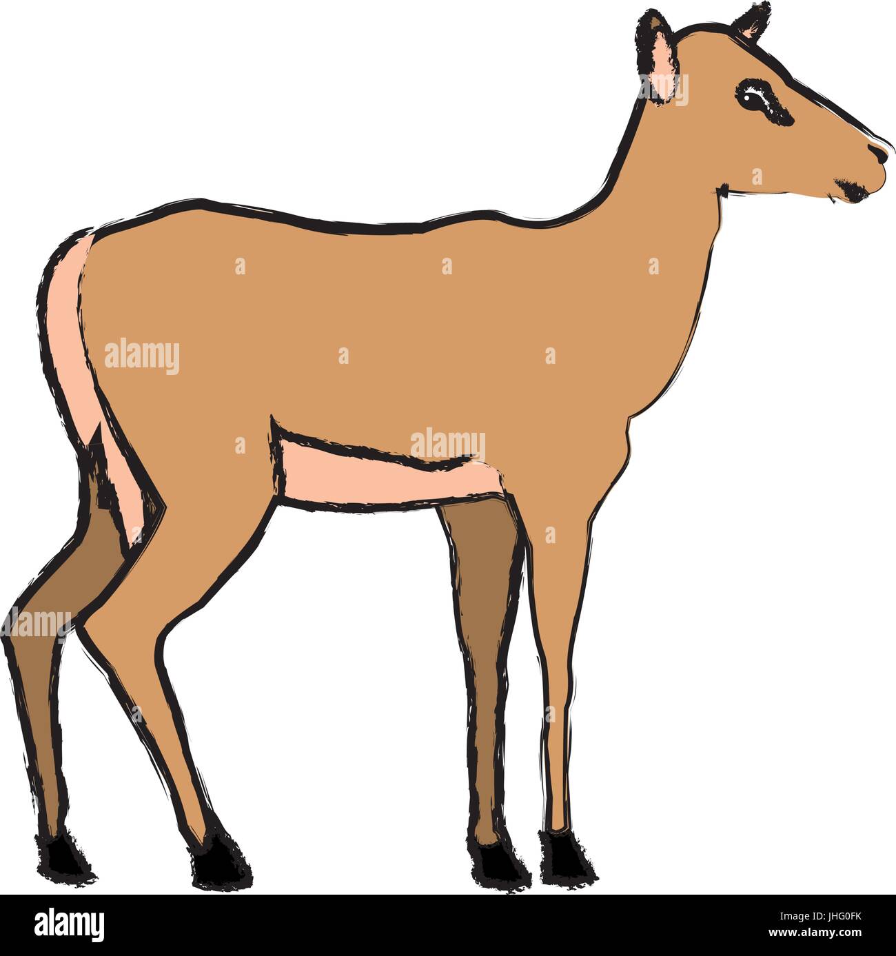 portrait of a standing impala africa mammal wild Stock Vector Image ...