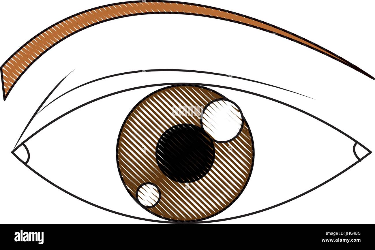eye look optical vision eyebrow symbol Stock Vector Image & Art - Alamy